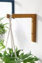 STEM wall plant hanger - various colours – Sarus Originals